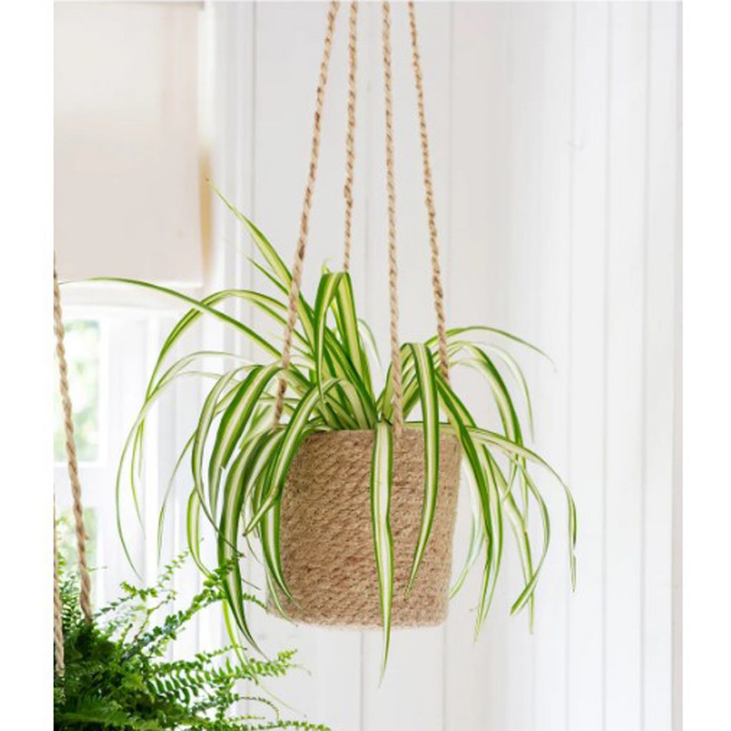Woven Jute Hanging House Plant Pot | Fizzy Fox Ripley