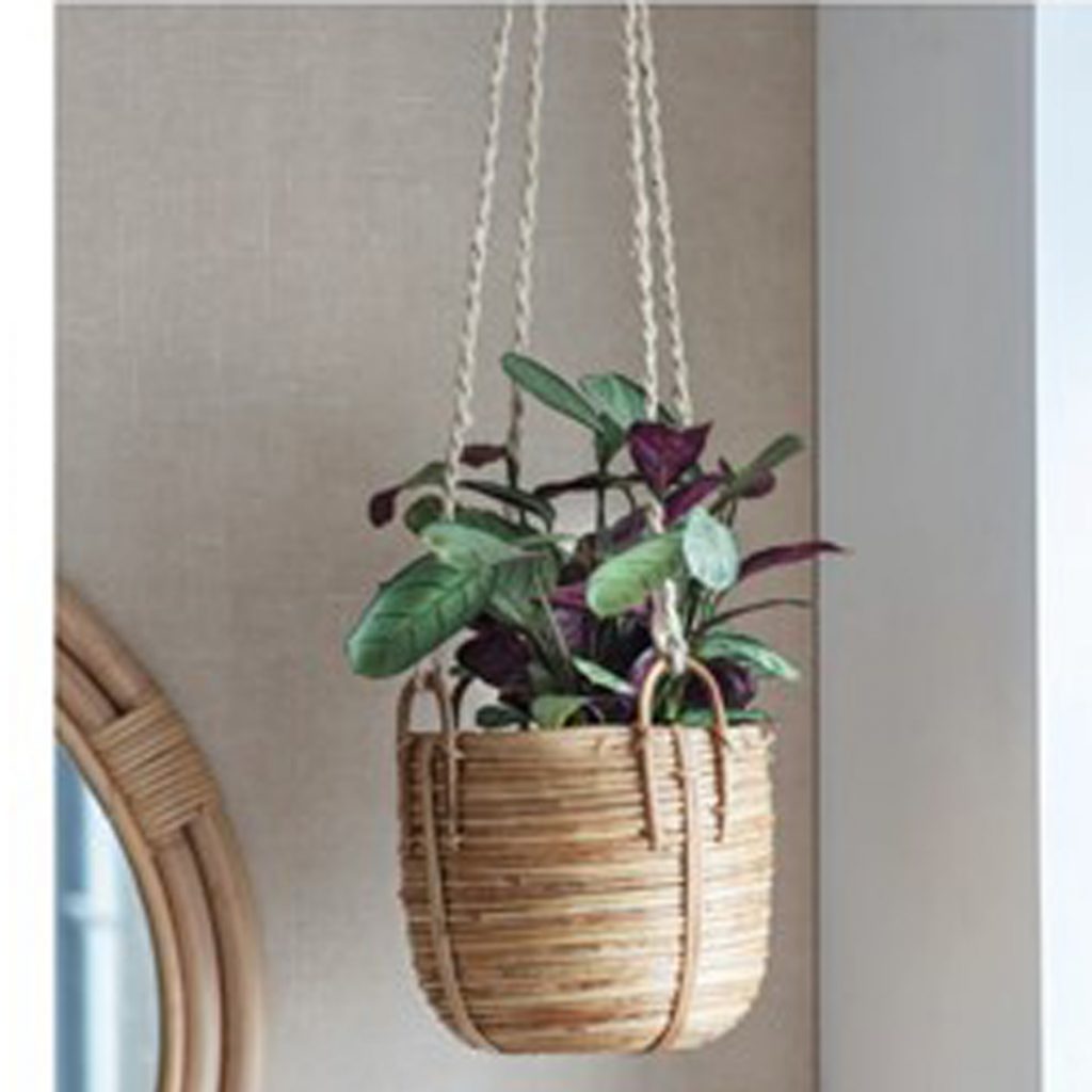 Hand Made Rattan Hanging Plant Pot | Fizzy Fox Ripley